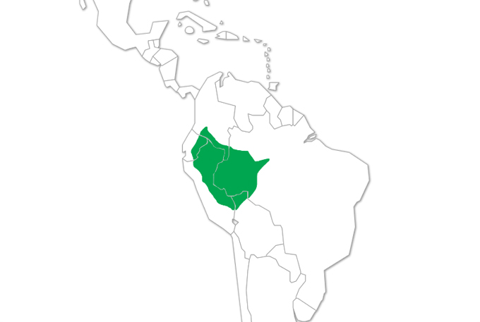 Parque de Las Leyendas