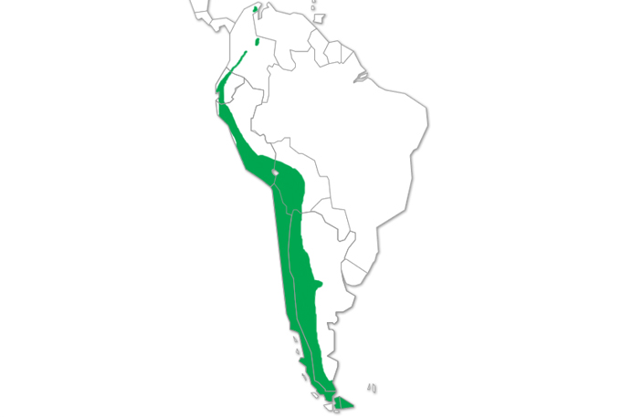 Parque de Las Leyendas