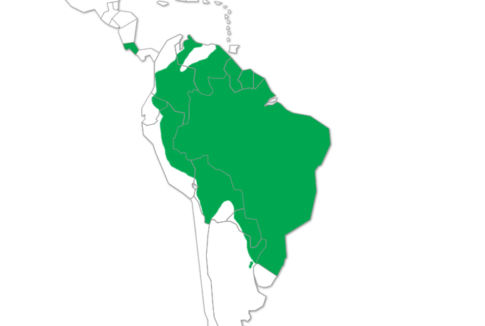 Parque de Las Leyendas