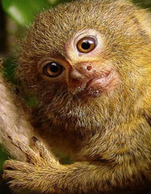 Parque de Las Leyendas