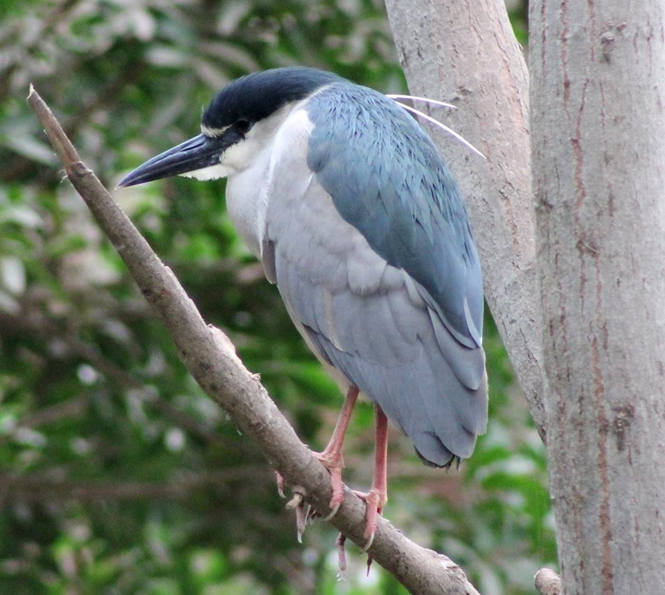 Parque de Las Leyendas