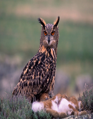 Parque de Las Leyendas
