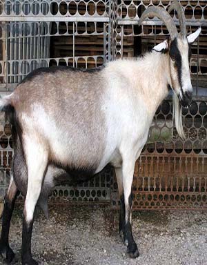 Parque de Las Leyendas