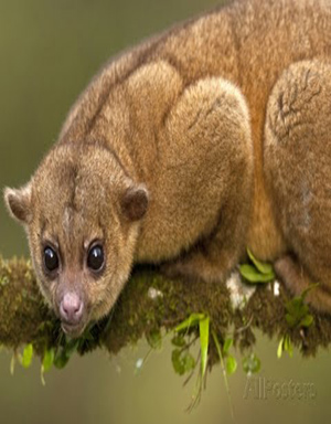 Parque de Las Leyendas