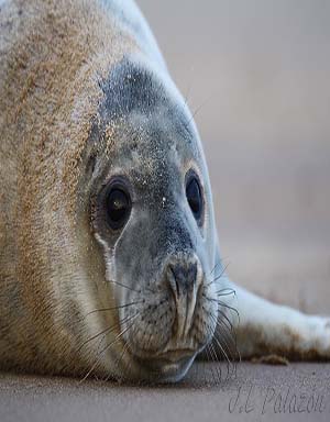 Parque de Las Leyendas