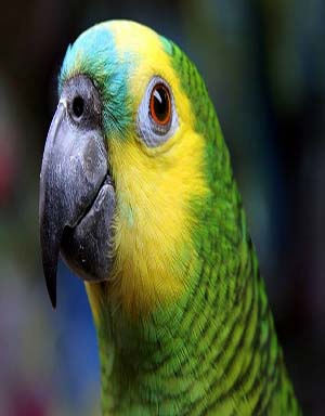 Parque de Las Leyendas