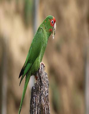 Parque de Las Leyendas