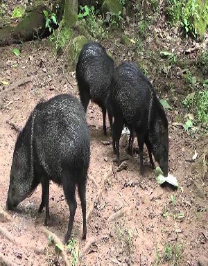 Parque de Las Leyendas