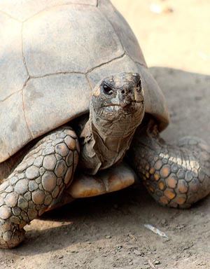 Parque de Las Leyendas