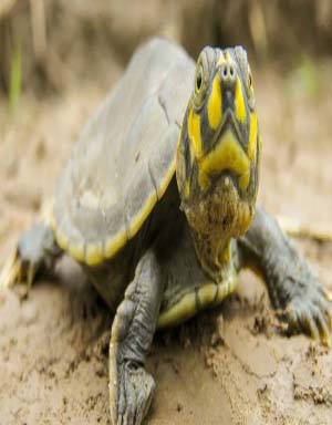 Parque de Las Leyendas