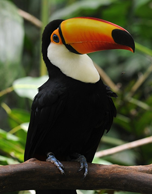 Parque de Las Leyendas