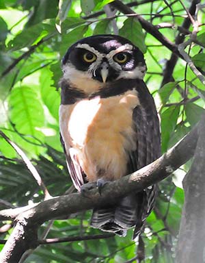 Parque de Las Leyendas