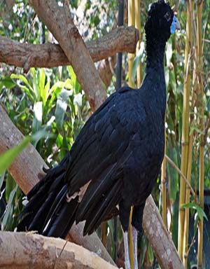 Parque de Las Leyendas