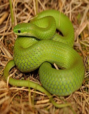 Parque de Las Leyendas