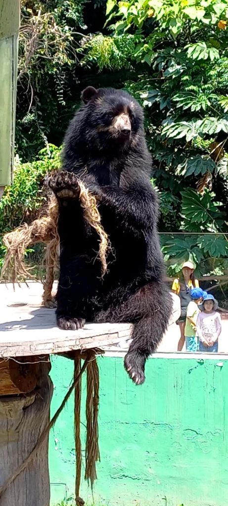 Parque de Las Leyendas