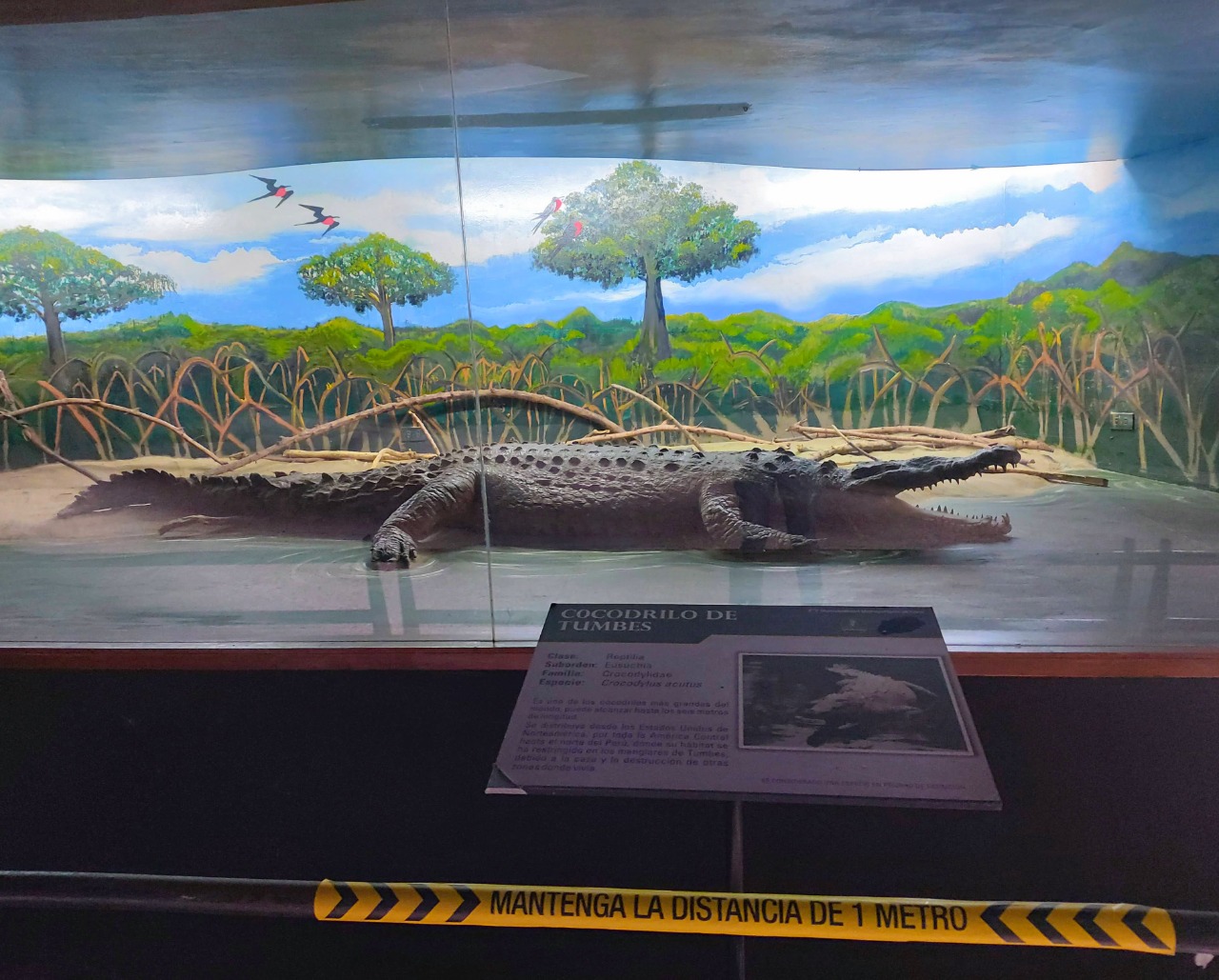 Parque de Las Leyendas